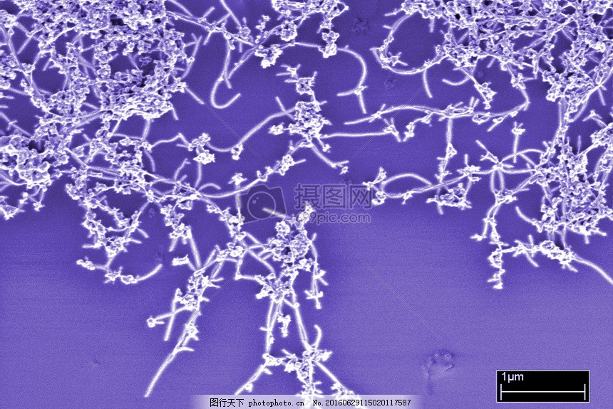 显微镜下的微生物图片_现代科技_金融科技-图行天下素材网